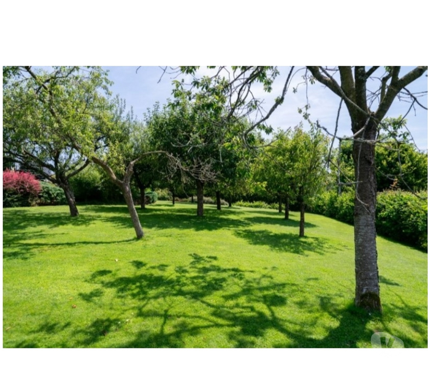 Patignies - Gedinne : magnifique maison, 5ch, piscine, 30a. Achat ...